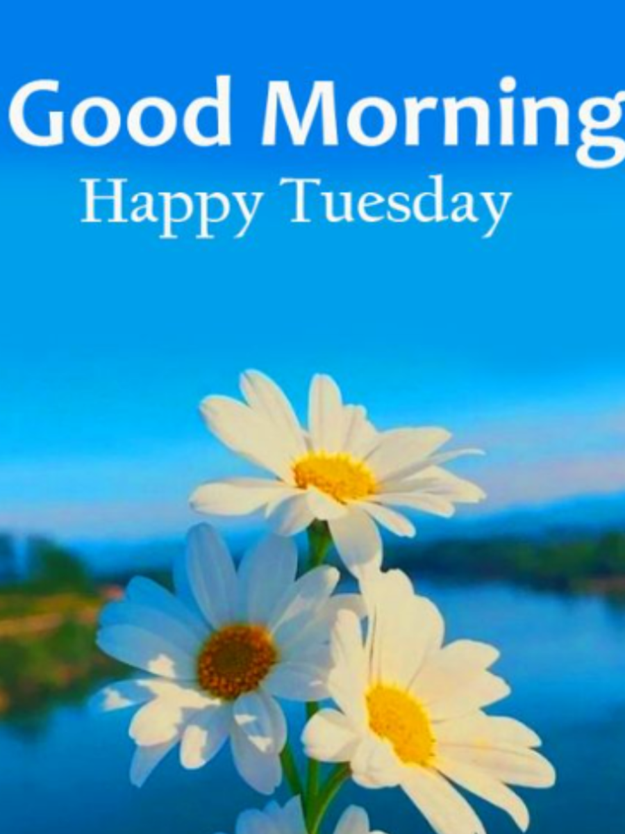 Good Morning Tuesday | Good morning Tuesday inspirational quotes for ...