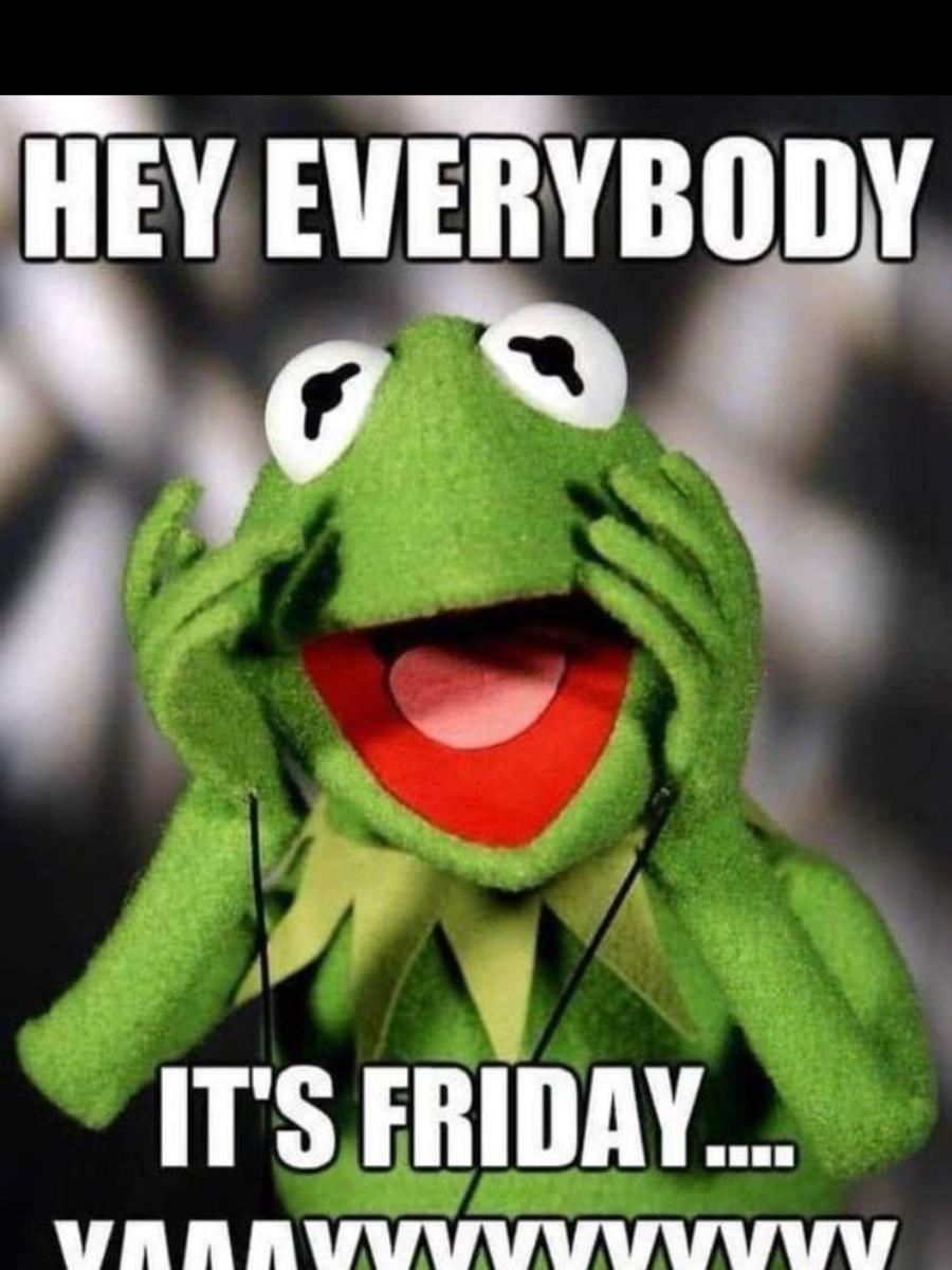 Good morning | Funny good morning Friday wishes, memes to start your ...