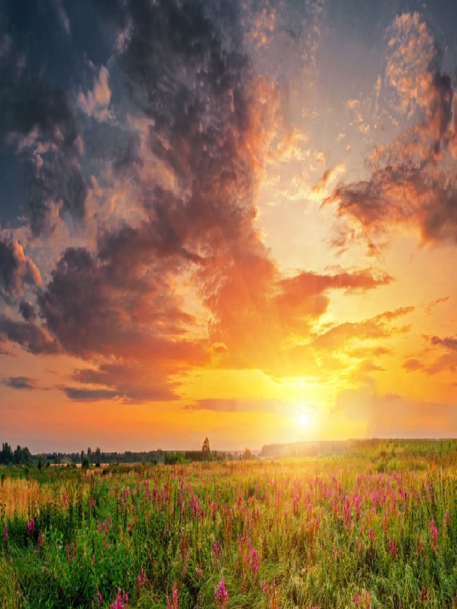 Good Morning messages, quotes and images for a Sunday morning | Times Now