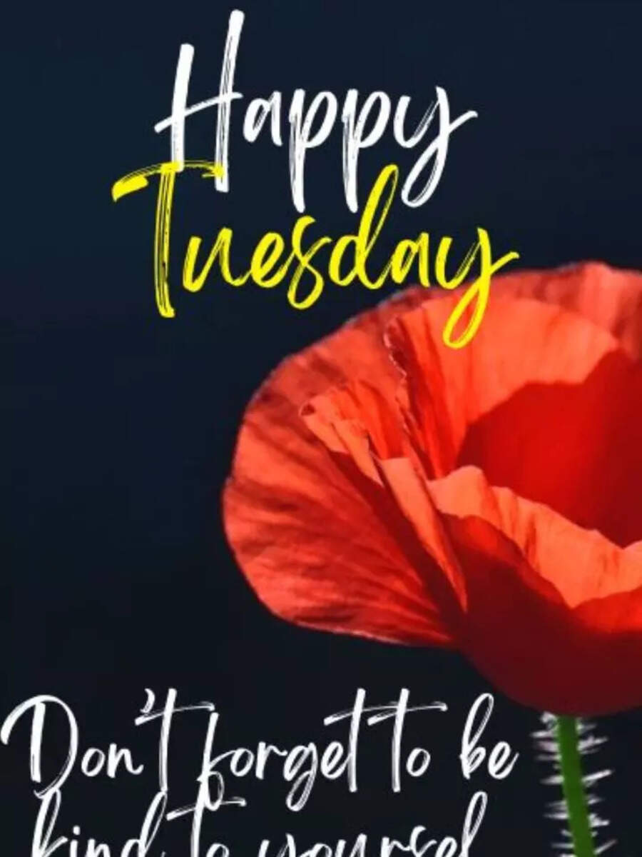 Good Morning | Tuesday morning images, quotes, wishes and blessings for ...