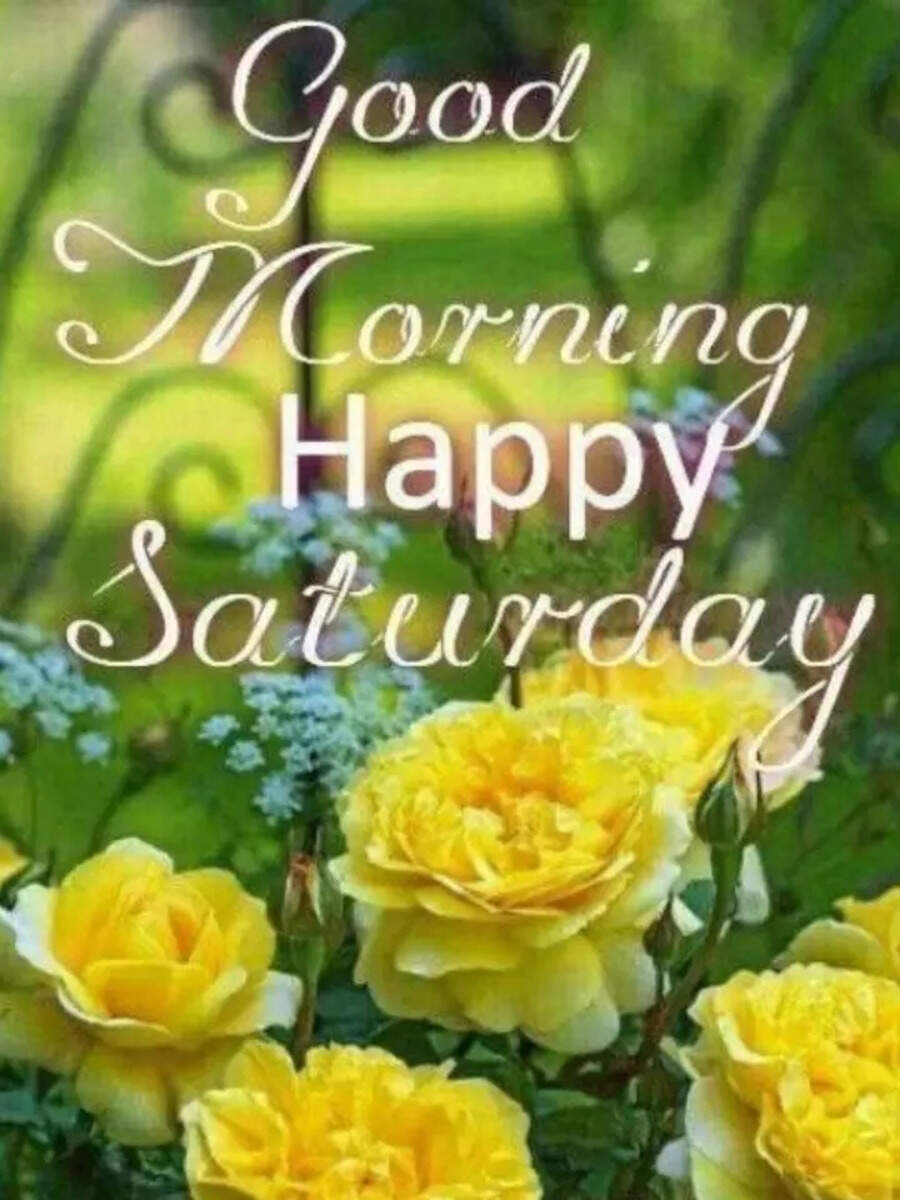Saturday Images | Good Morning Happy Saturday Quotes, Images to share ...