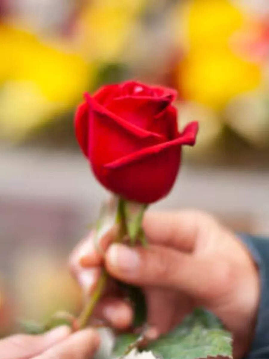 Happy Rose Day Wishes: Spiritual Love Quotes & Images on Rose Day ...