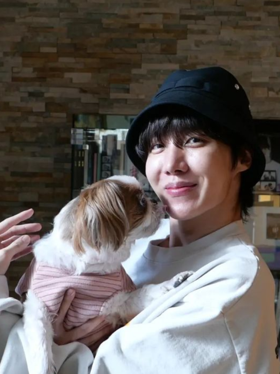 Inside BTS star J-hope's quirky Gwangju house | Times Now