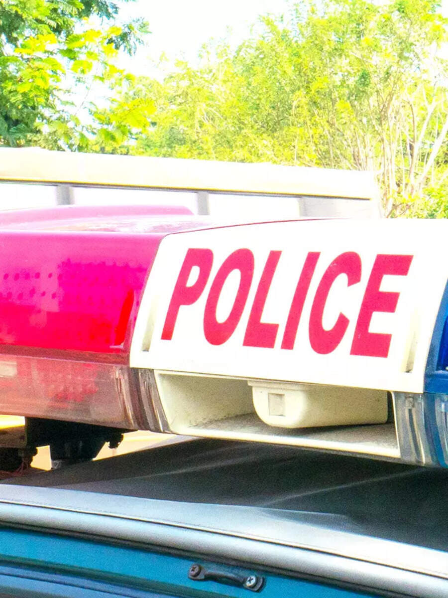 IPC sections meaning: what is IPC, indian law, crime, rape, murder ...