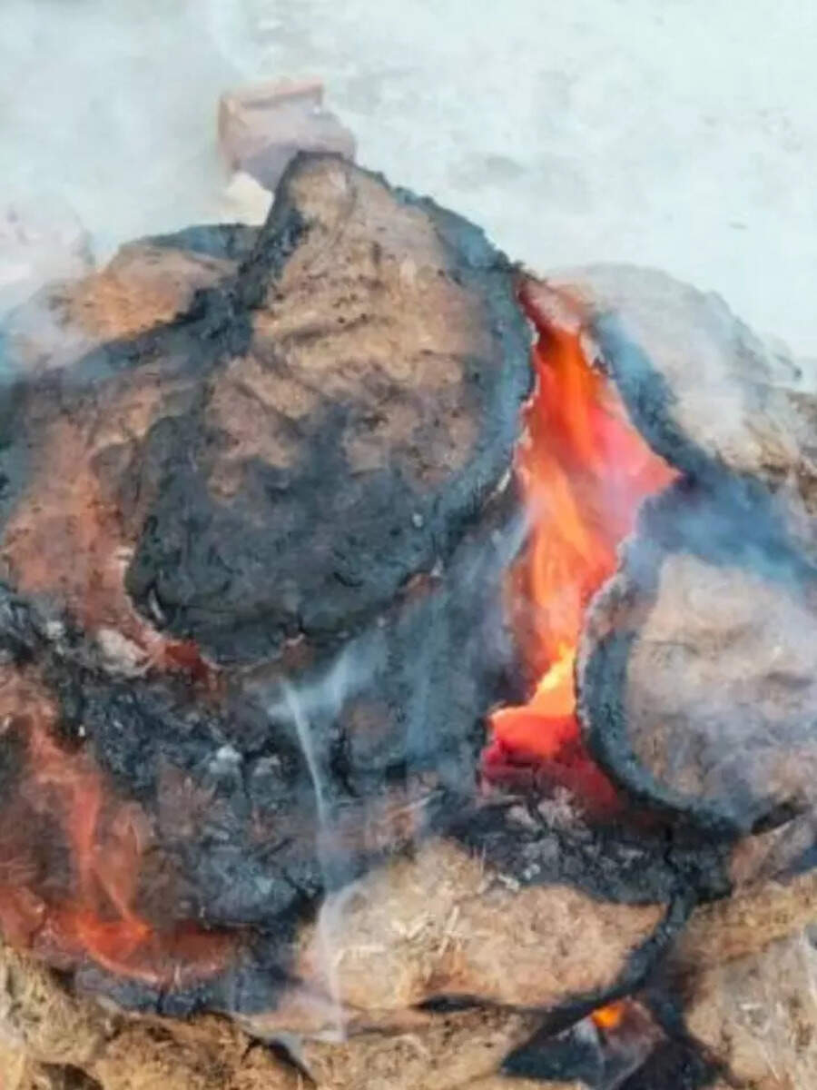 Uple on Holi: uple in hindi, Why cow Dung Cake burn in Holika dahan ...