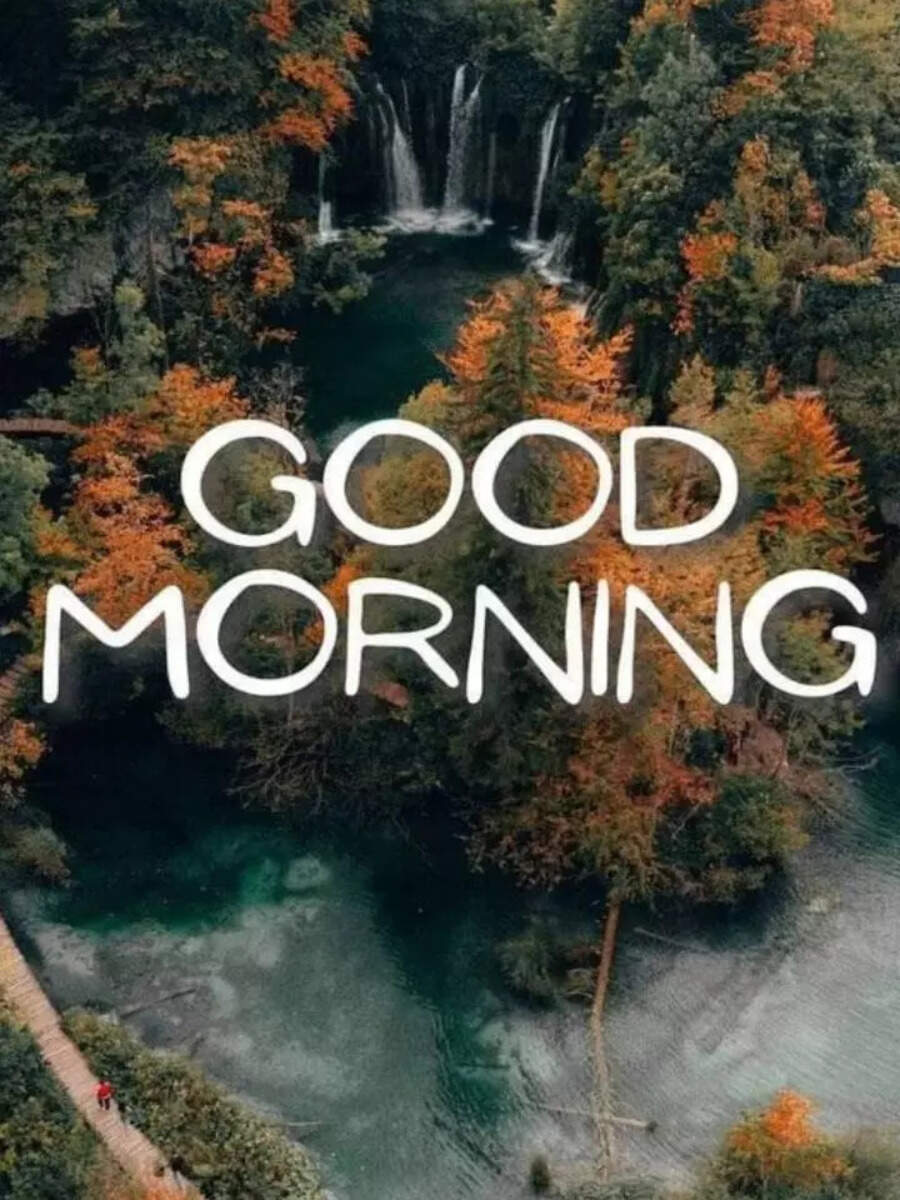 Good Morning Quotes | Good morning images with quotes for WhatsApp ...